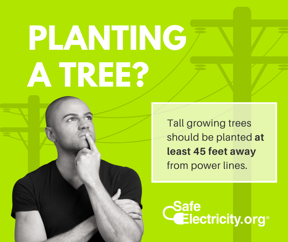 The Importance of Planting | Crow Wing Power